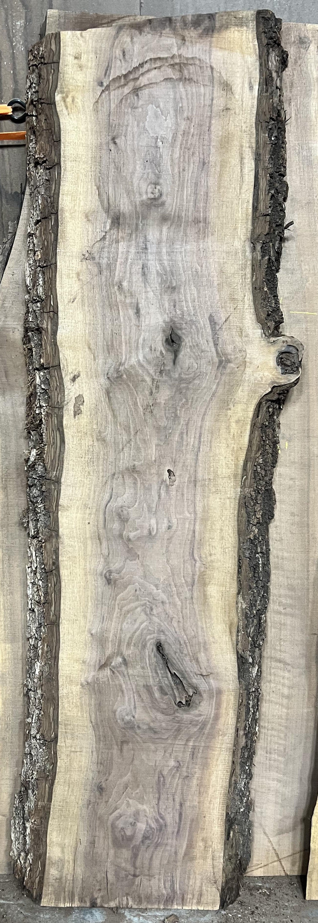 Walnut WL037 Unsurfaced | Tulsa Wood Slabs