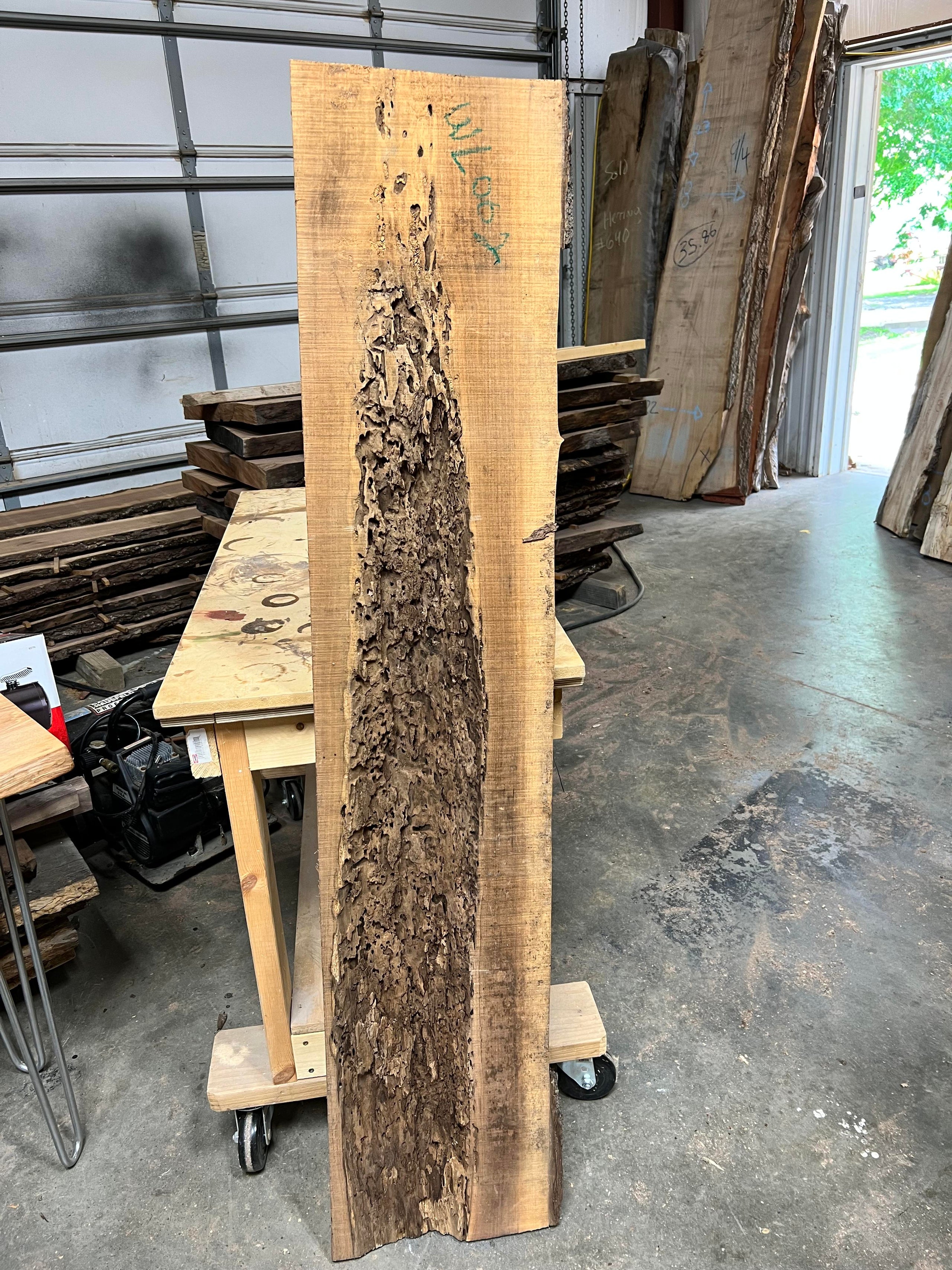 Walnut Slab WL002 | Tulsa Wood Slabs